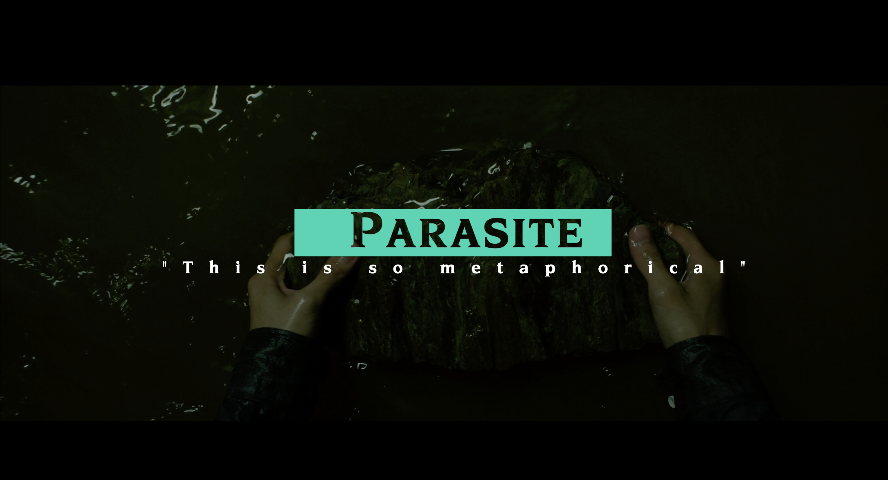 Parasite (video essay): “This is so metaphorical” – PAUL db WATKINS